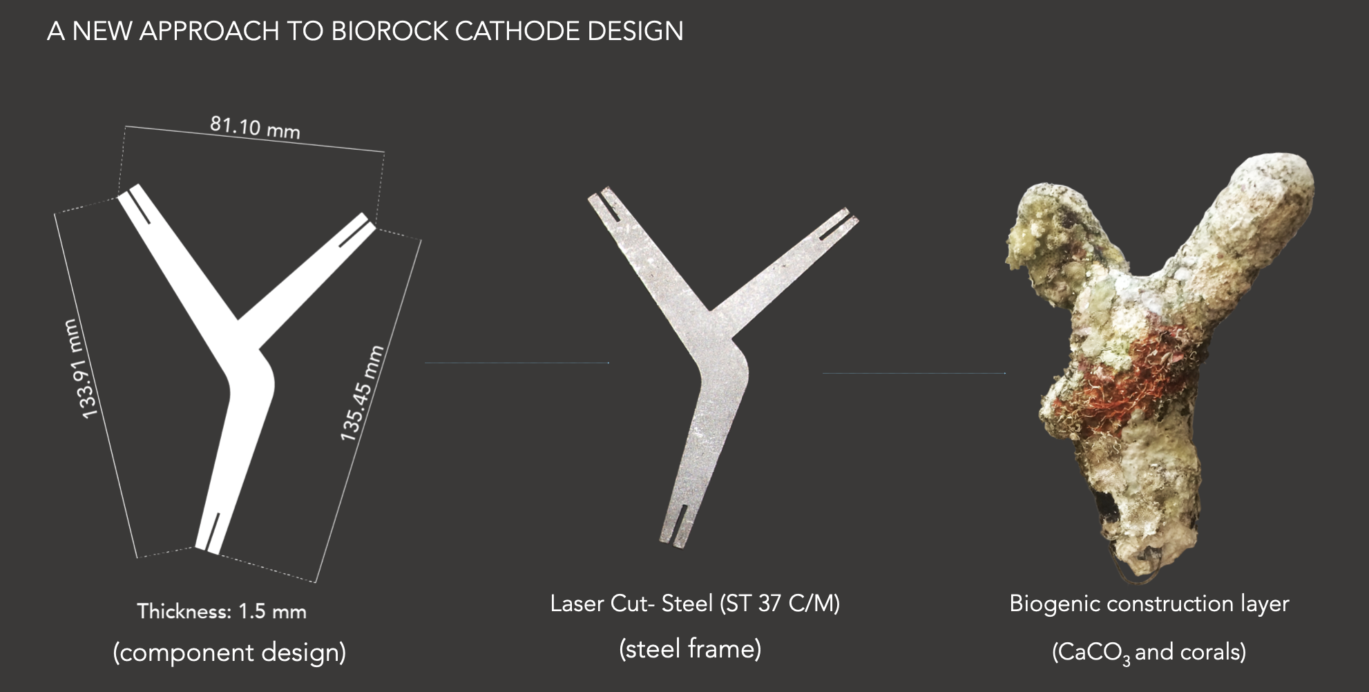 Digital reef design – Artificial Coral Reefs
